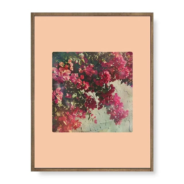 Scott Runkel Beverly Hills Flowering Wall With Soft Peach Border Giclée ...