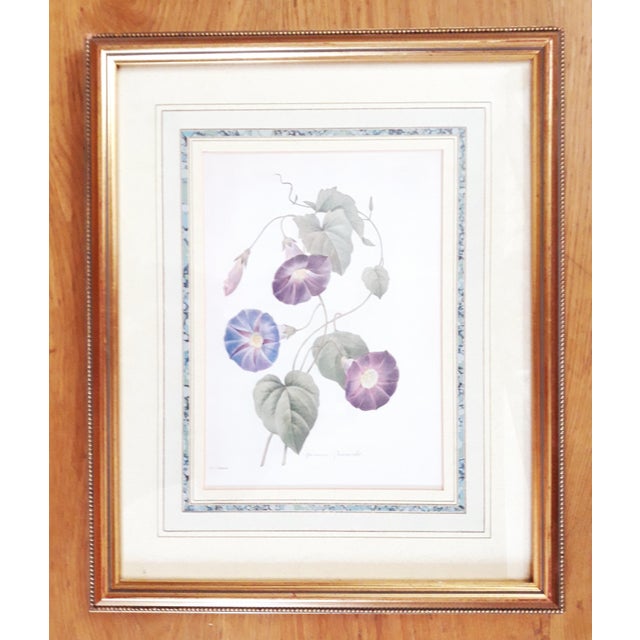 1980s Pierre-Joseph Redouté Floral Print | Chairish