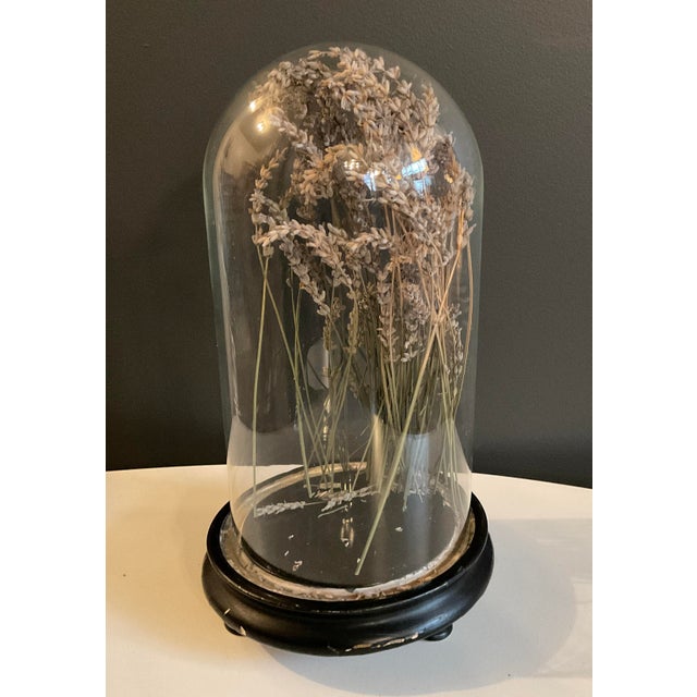 Antique Hand Blown Glass Cloche Dome on Grooved Base | Chairish