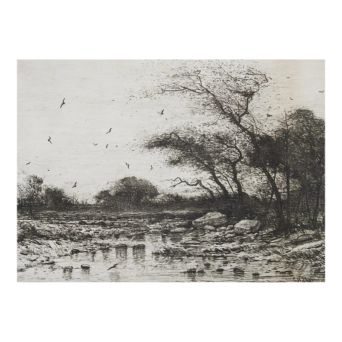 Late 19th Century Rocky Glade Landscape Etching | Chairish