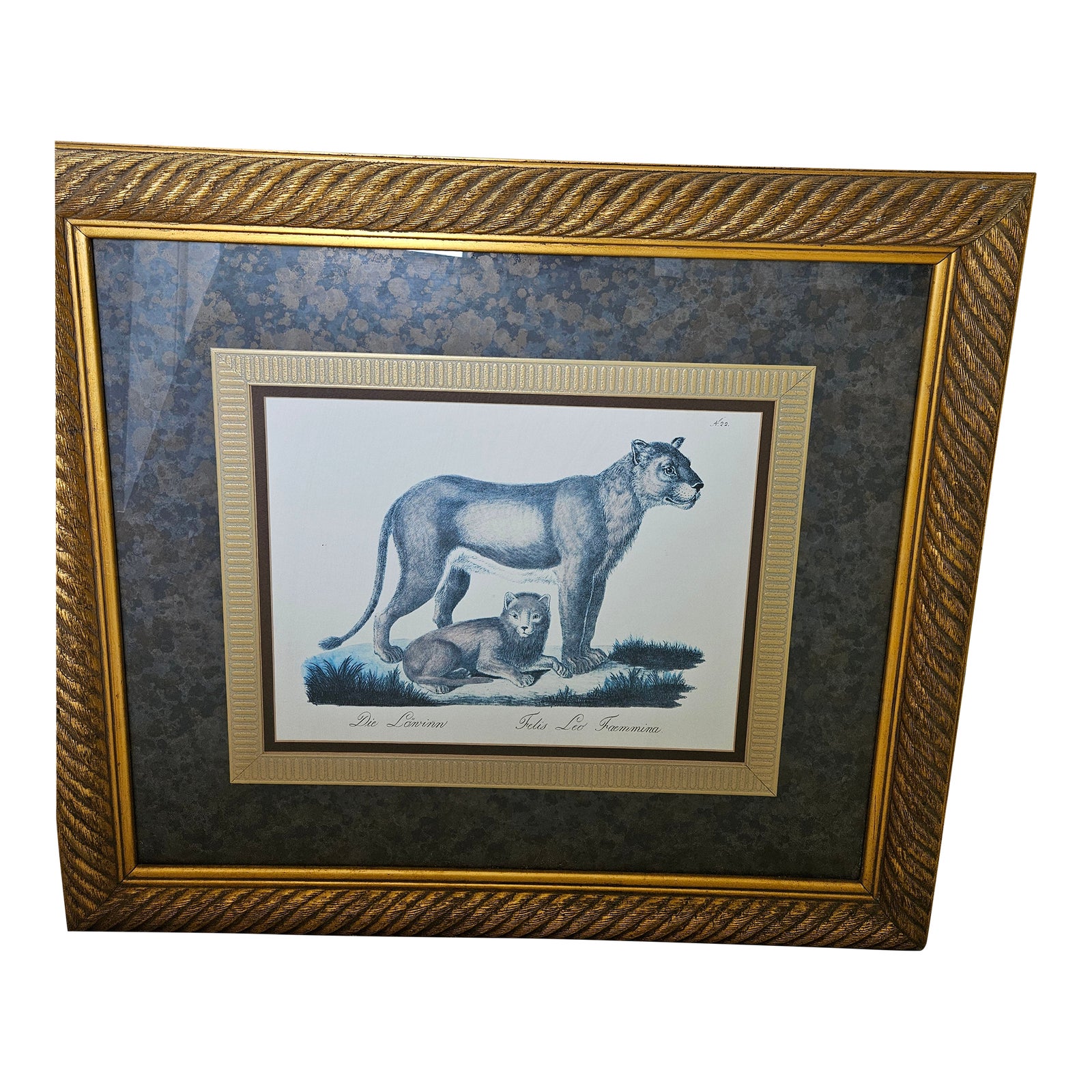 Large 1980s Decorative Print of a Mother Lion and Cub in an Impressive ...