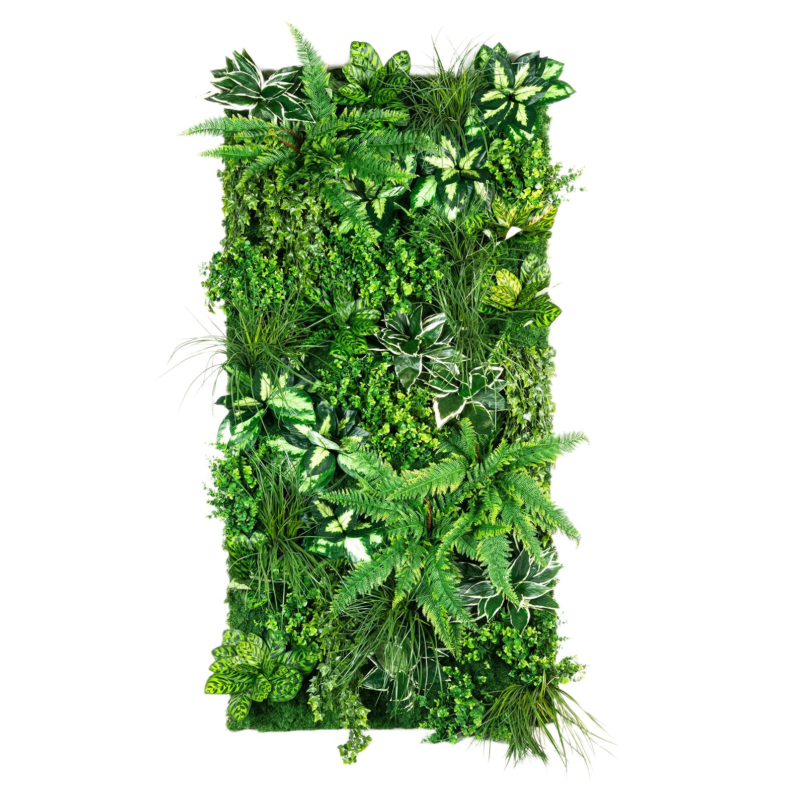 Molokai Modular Vertical Garden Panel from VGnewtrend | Chairish