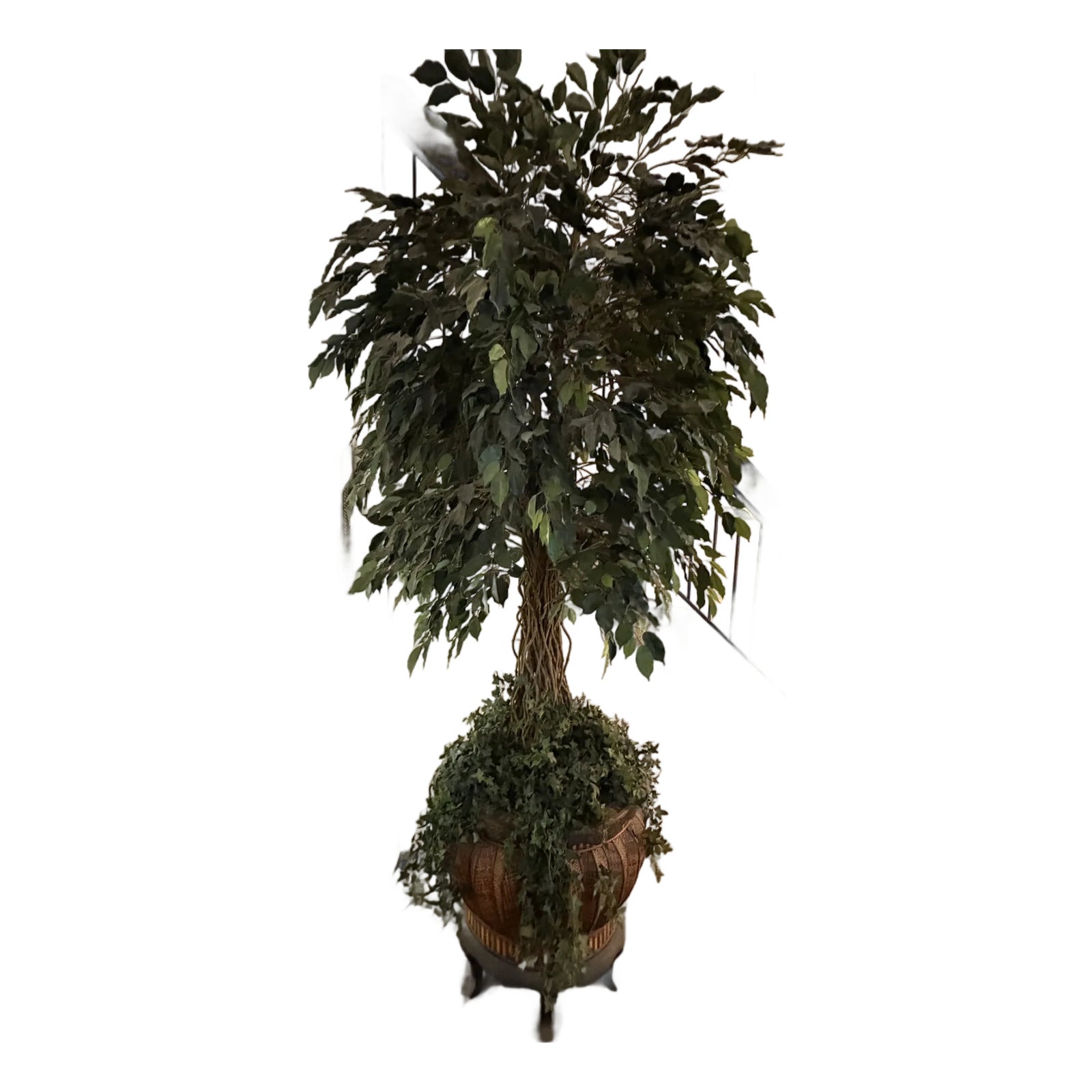 Custom Made Artificial Ficus Benjamin Tree | Chairish