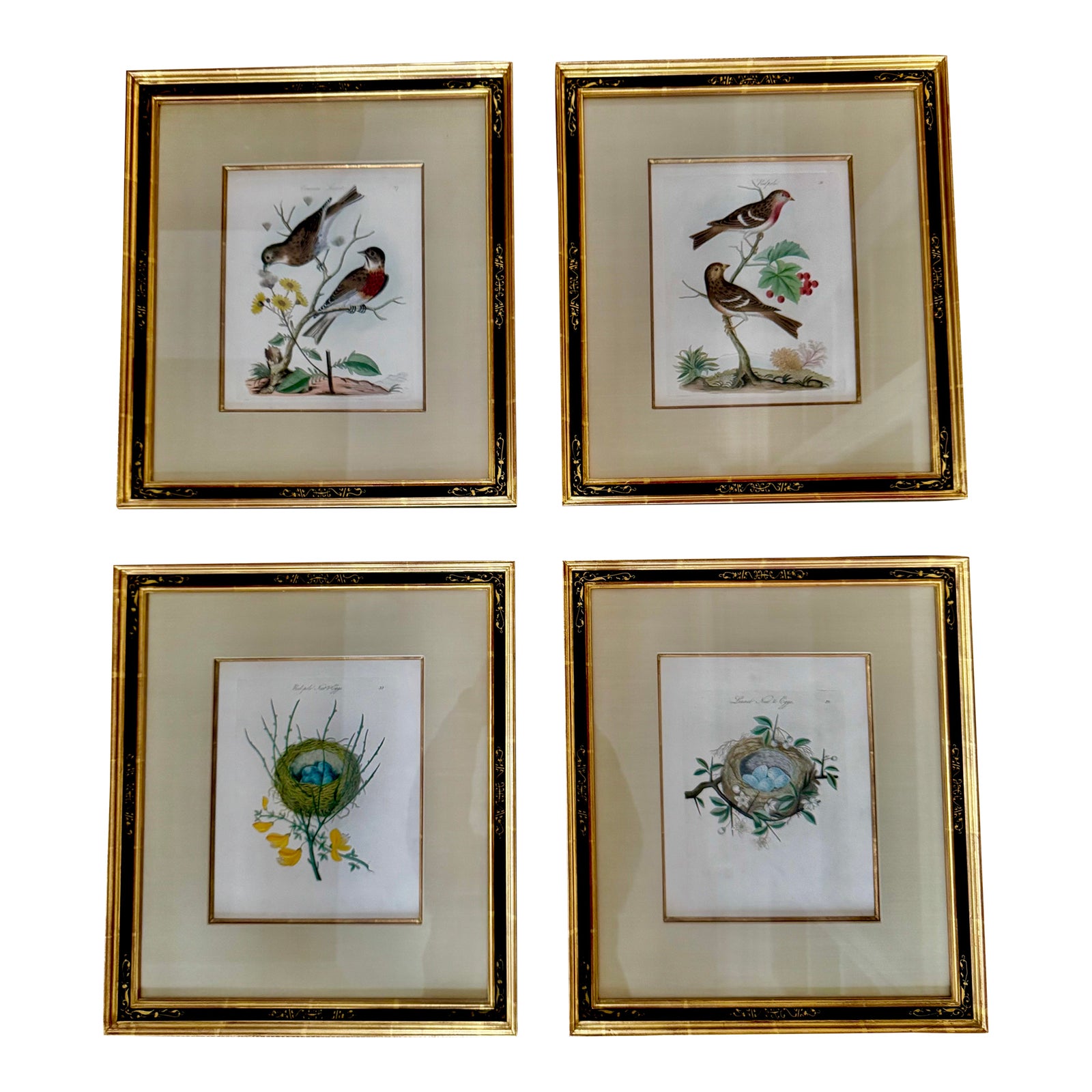 Set of 4 Antique English James Bolton Engravings From Harmonia Ruralis ...