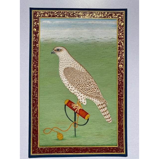 Indian Hawk Painting, Miniature Falcon Artwork | Chairish