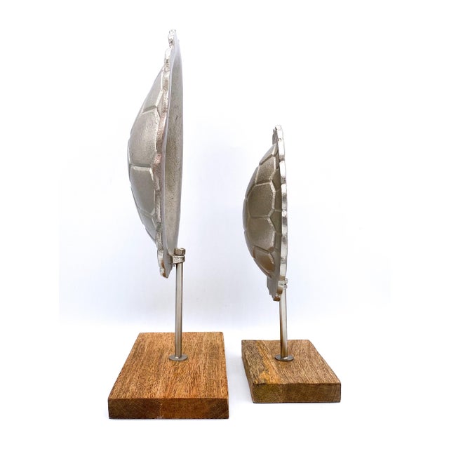 Contemporary Cast Aluminum Turtle Shells on Wood Stands- Set of 2 ...