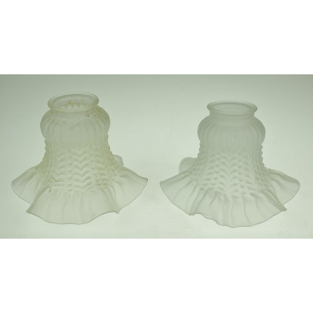 Vintage Victorian Style Ruffled Tulip Glass Lamp Shades - a Pair | Chairish