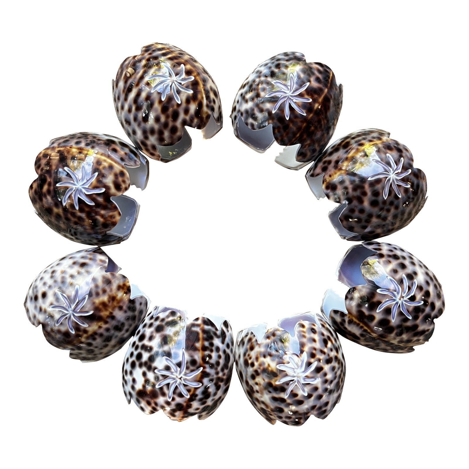 Vintage Leopard Cowrie Shell Hand-Carved and Scalloped Napkin Ring ...