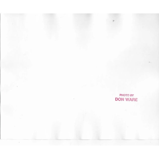 1973 Horse Racing Photograph by Don Ware | Chairish