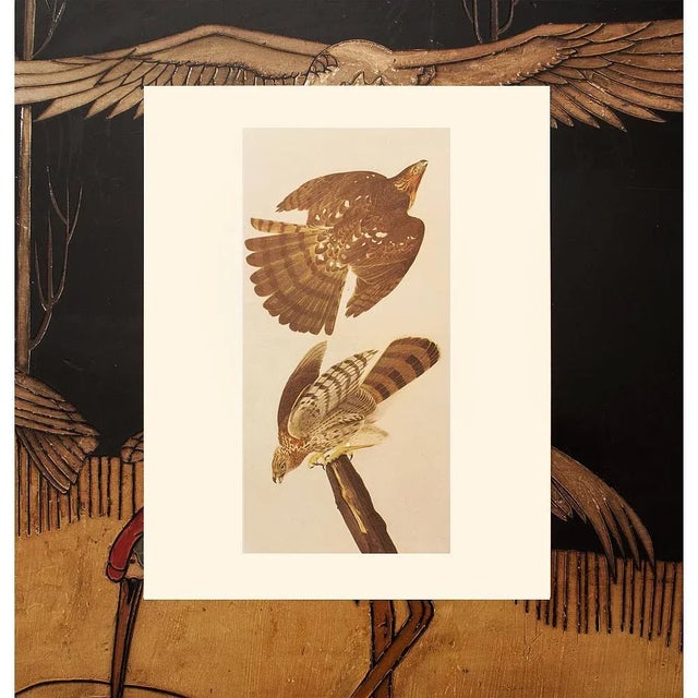1966 Stanley Hawk After John James Audubon, Cottage Style Print | Chairish