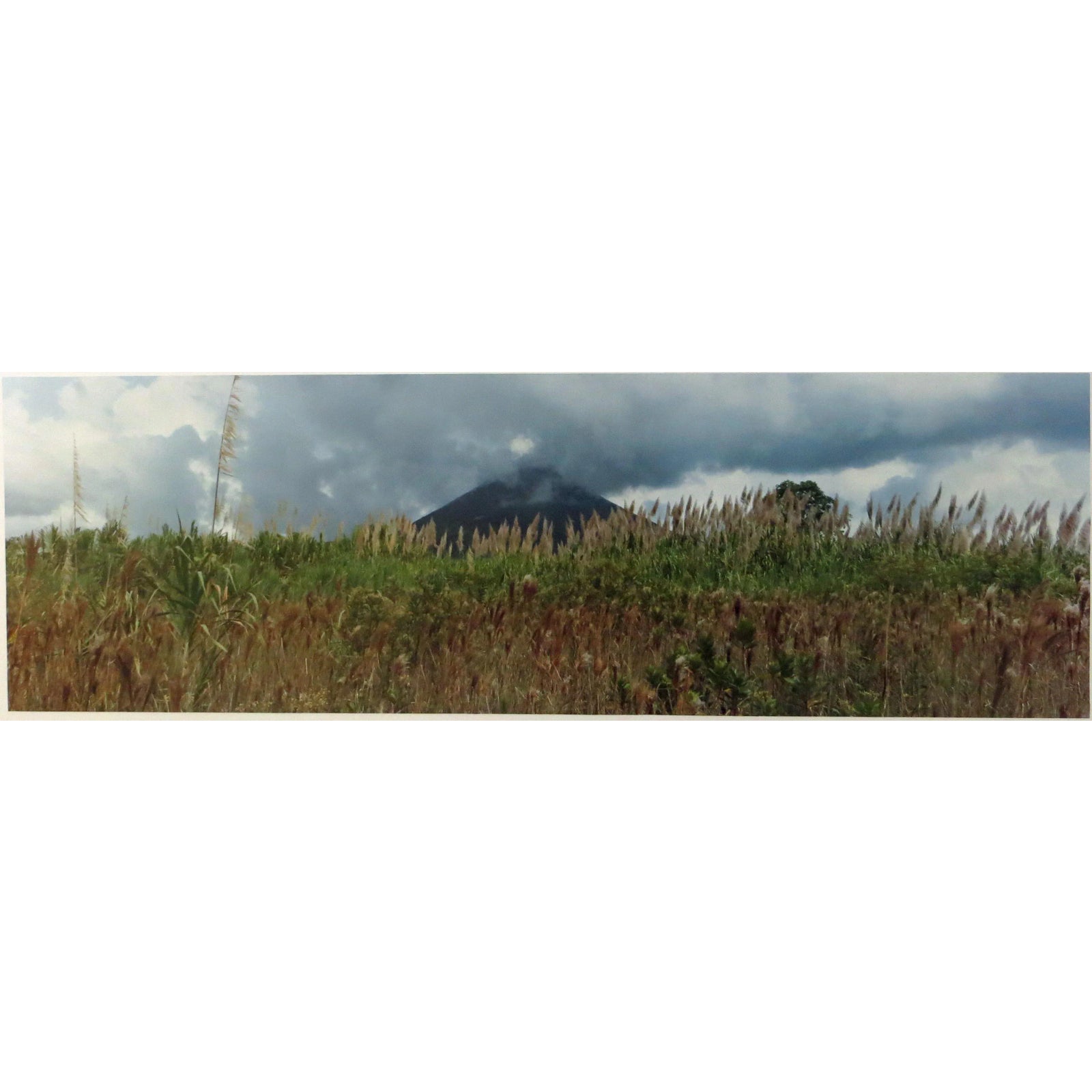 Stuart Klipper "Vulcan Arunel, Costa Rica" Photograph | Chairish