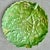 Lettuce Leaf Porcelain Plates Set of Seven | Chairish