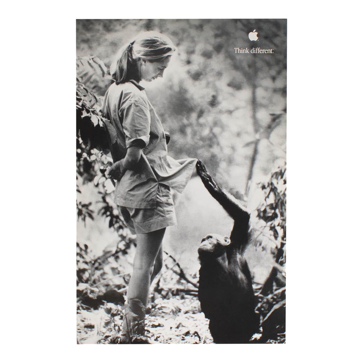 Apple “Think Different” 1998 Jane Goodall Poster | Chairish