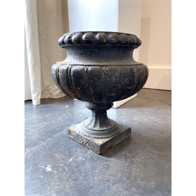 Vintage Small Painted Cast Iron Urn | Chairish