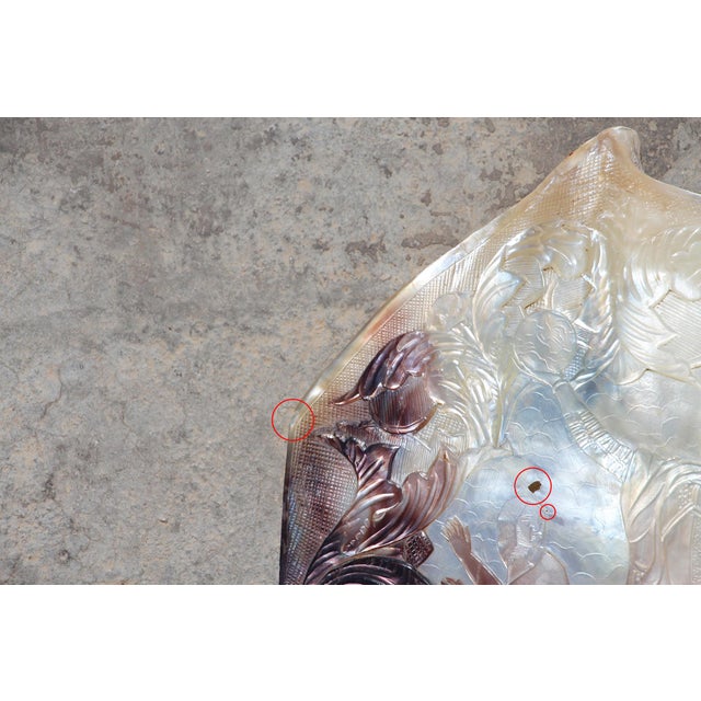 19th Century Large French Shell Depicting Christopher Columbus Holding ...