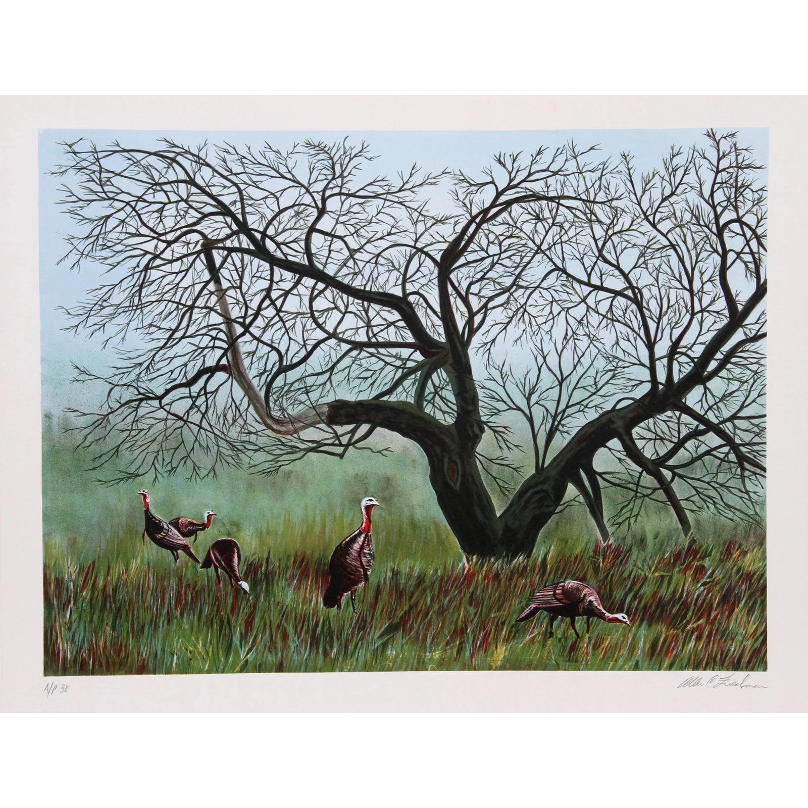 Allen Friedman, Apple Tree Flock, Lithograph | Chairish