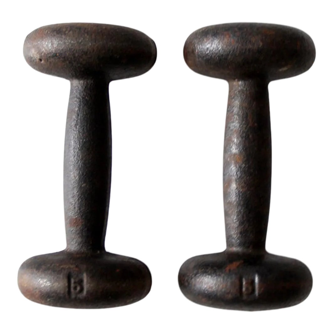 Vintage 5 Lb Hand Weights - a Pair | Chairish