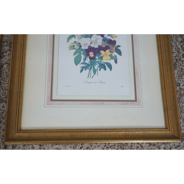 Set of 7 Gold Framed Botanical Prints | Chairish