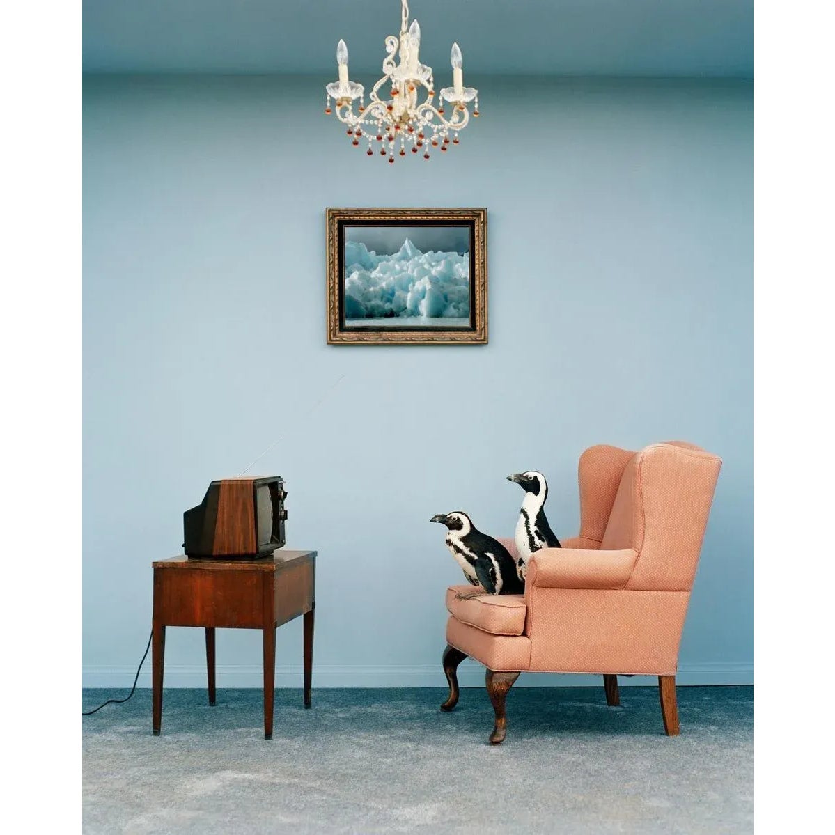 Matthias Clamer 'Penguins on a Chair Watching Television', 16x12 ...