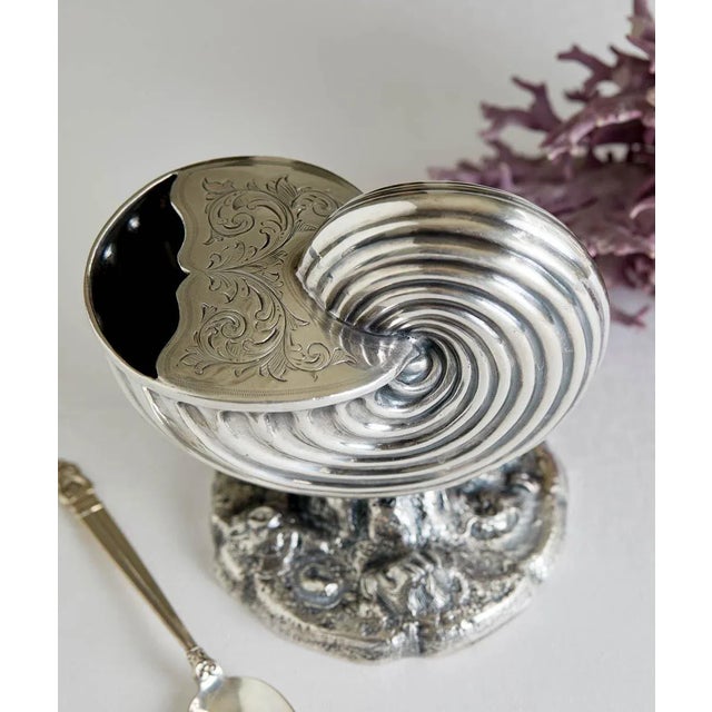Antique 1880s English Nautilus Shell Spoon Warmer | Chairish