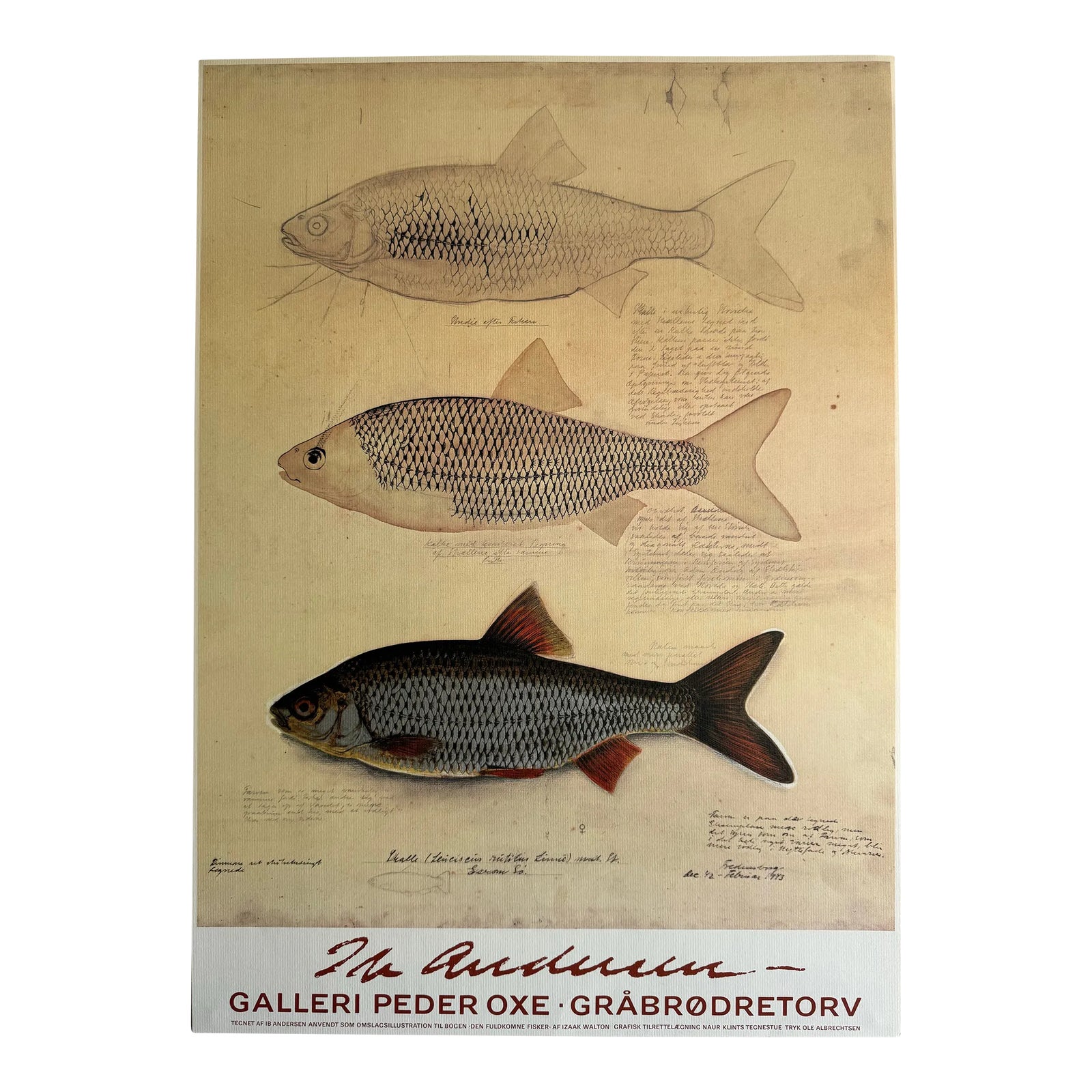 Vintage 1975 Ib Andersen Lithograph for Izaak Walton "The Compleat ...