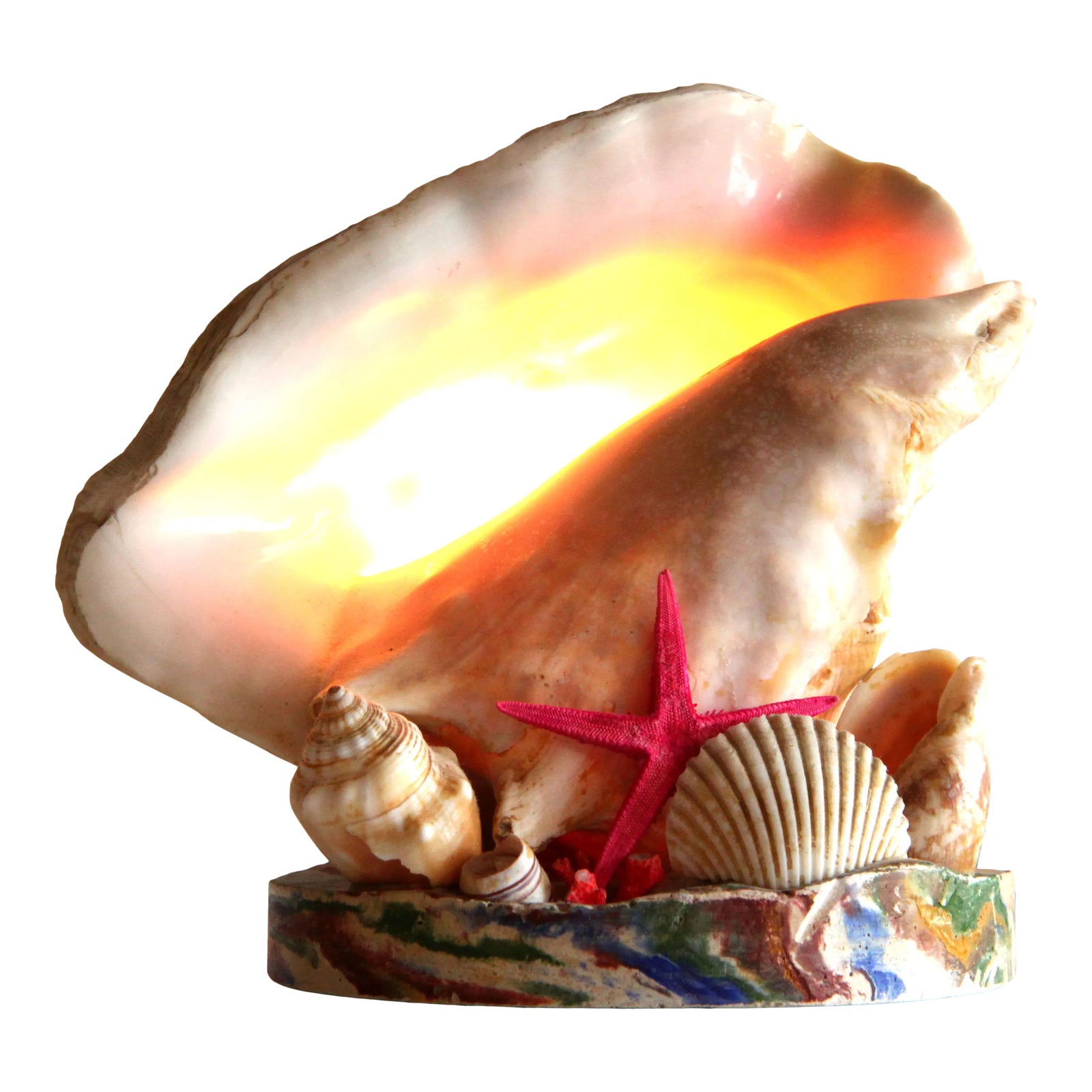 Vintage 1970's Nautical Conch Shell Lamp With Starfish | Chairish