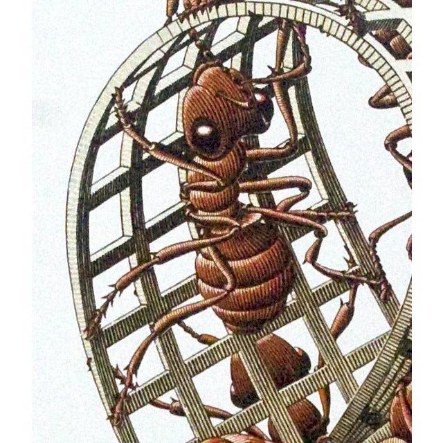 1950s Geometric Pattern Lithograph After M.C. Escher, Framed | Chairish