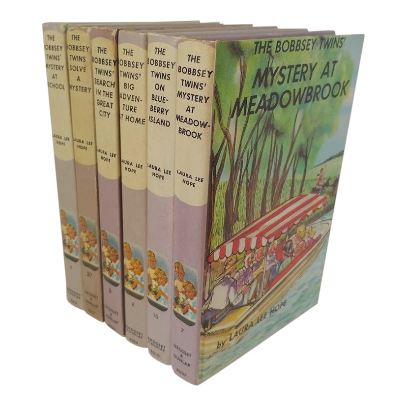 1950s/1960s Vintage the Bobbsey Twins Book Series by Laura Lee Hope ...