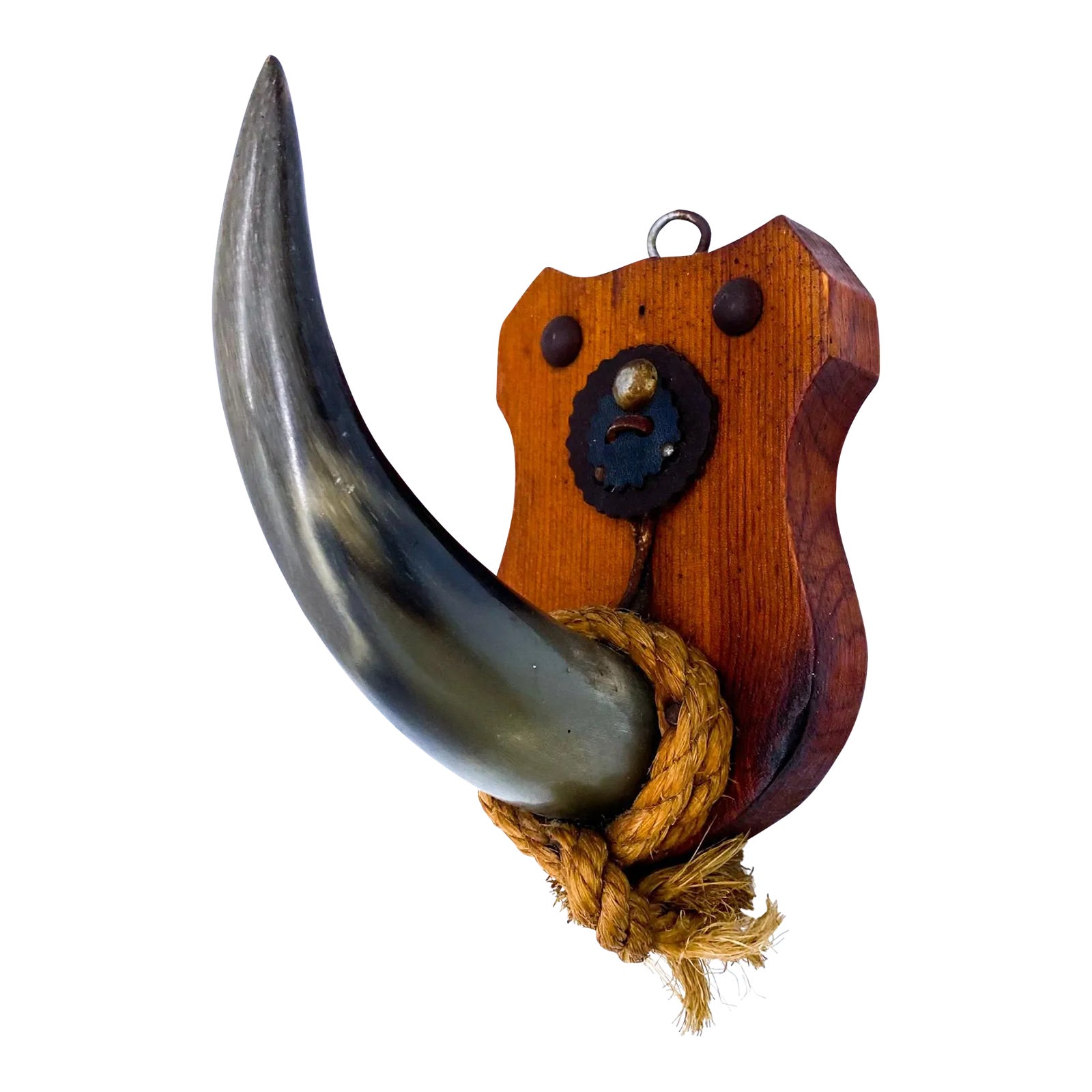 Vintage Western Horn Hook on Wood Plaque | Chairish
