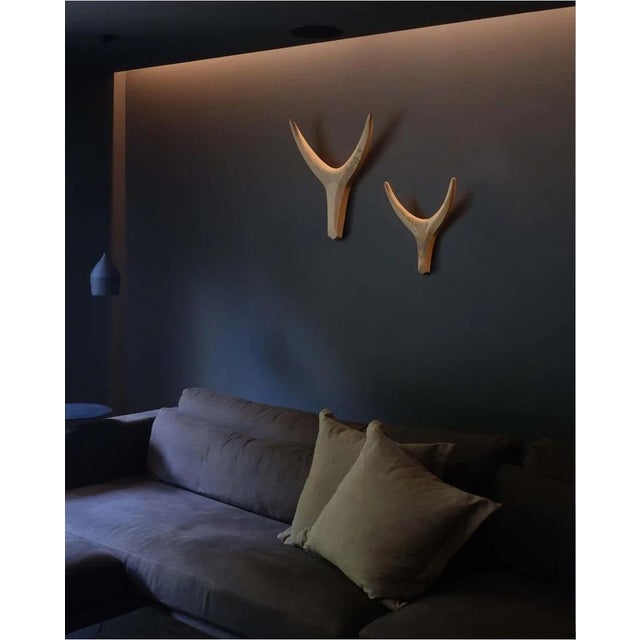 Medium Nguni Head Black Iroko, Animal Head Wall Sculpture, Grey | Chairish
