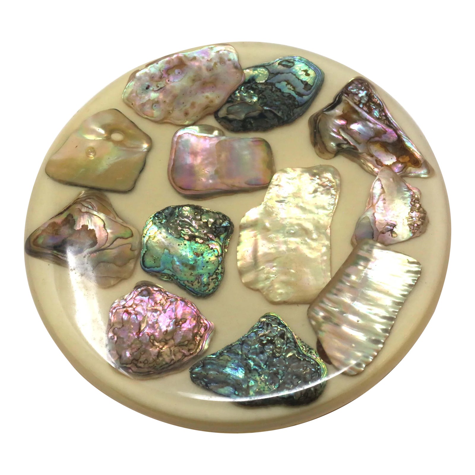 1970's Abalone Shell Trivet | Chairish