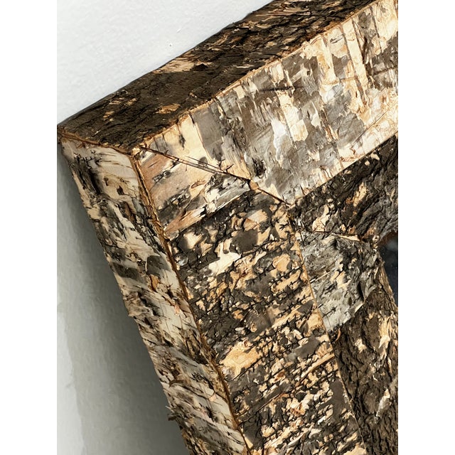 Birch Bark Branch Mirror Rustic | Chairish