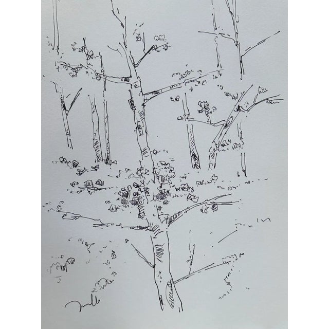 Jose Trujillo Expressionist Pen Ink Paper Trees Sketch | Chairish