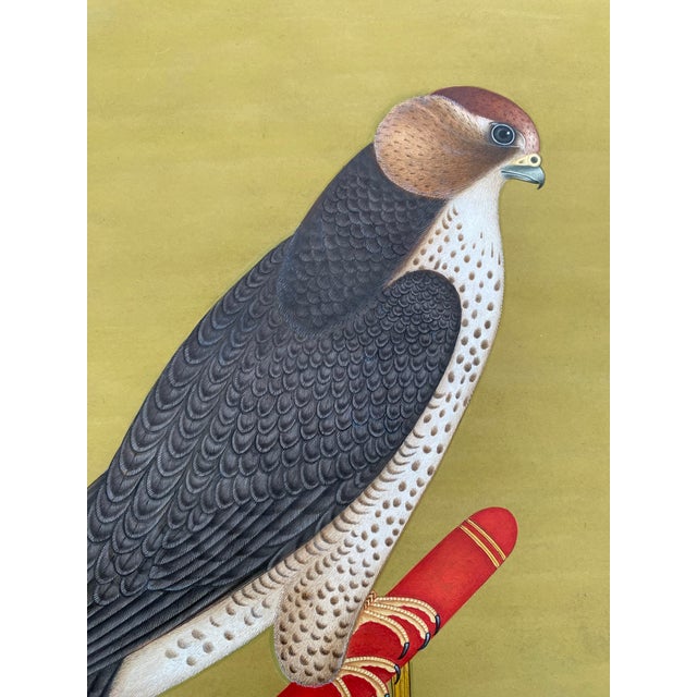 Vintage Original Hand Painted Indian Mughal Miniature Hawk and Falcon ...