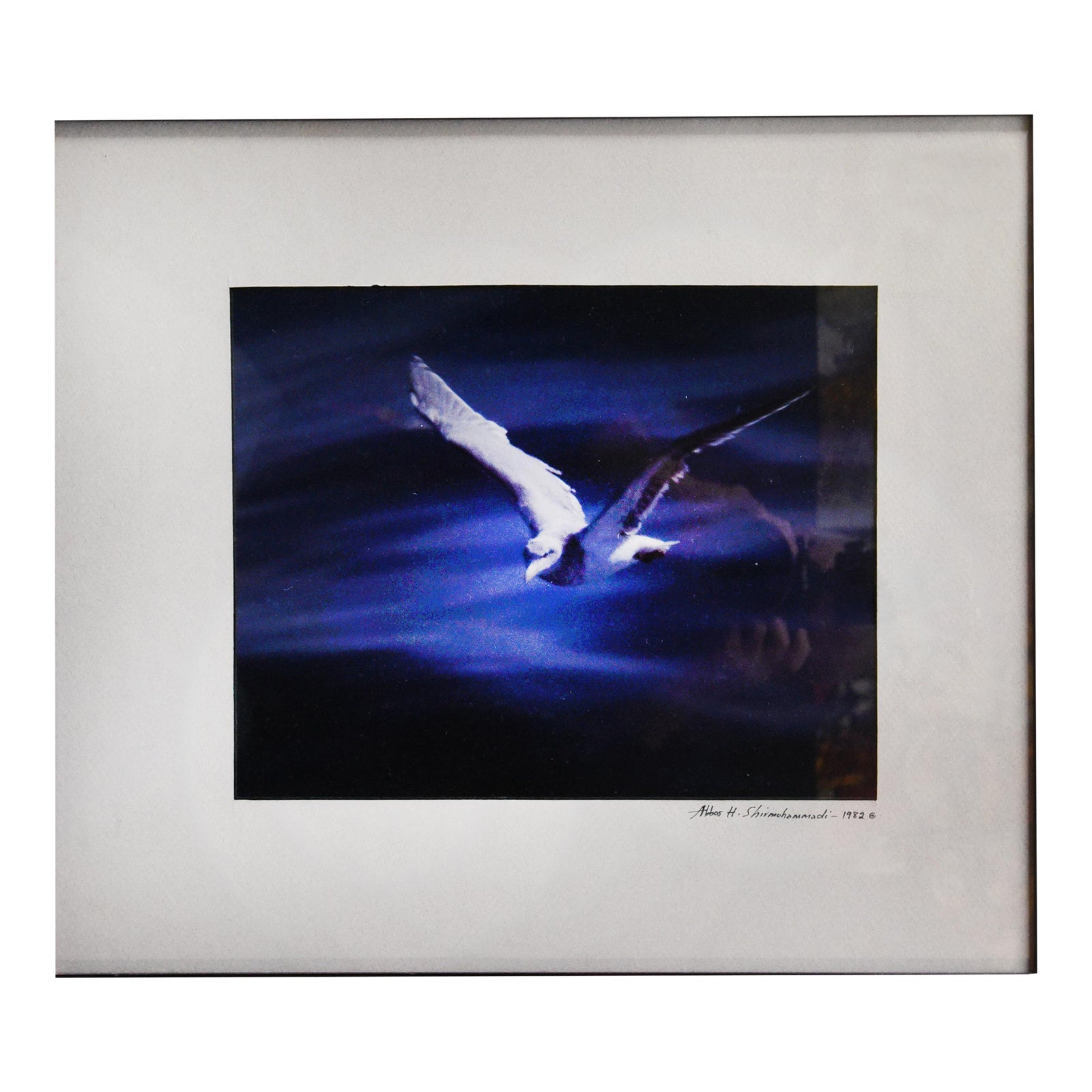 1990s Moonlit Flight Photograph, Framed | Chairish