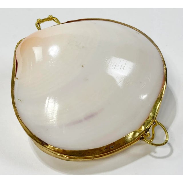 Pearlized Clam Shell Trinket Box | Chairish