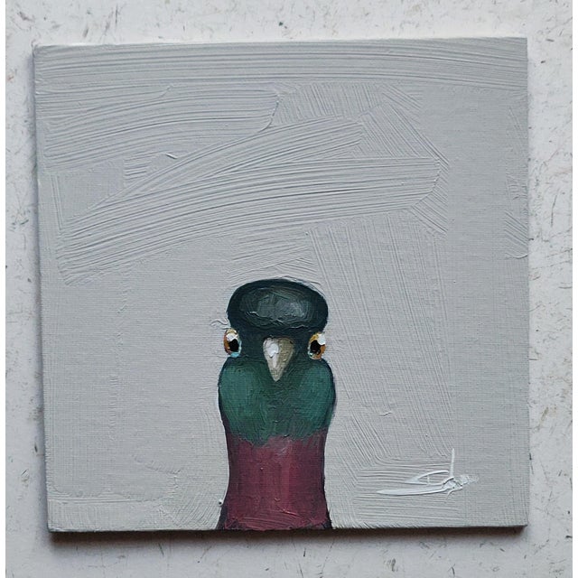 Pigeon Portrait Oil Painting by Vivek Mandalia | Chairish