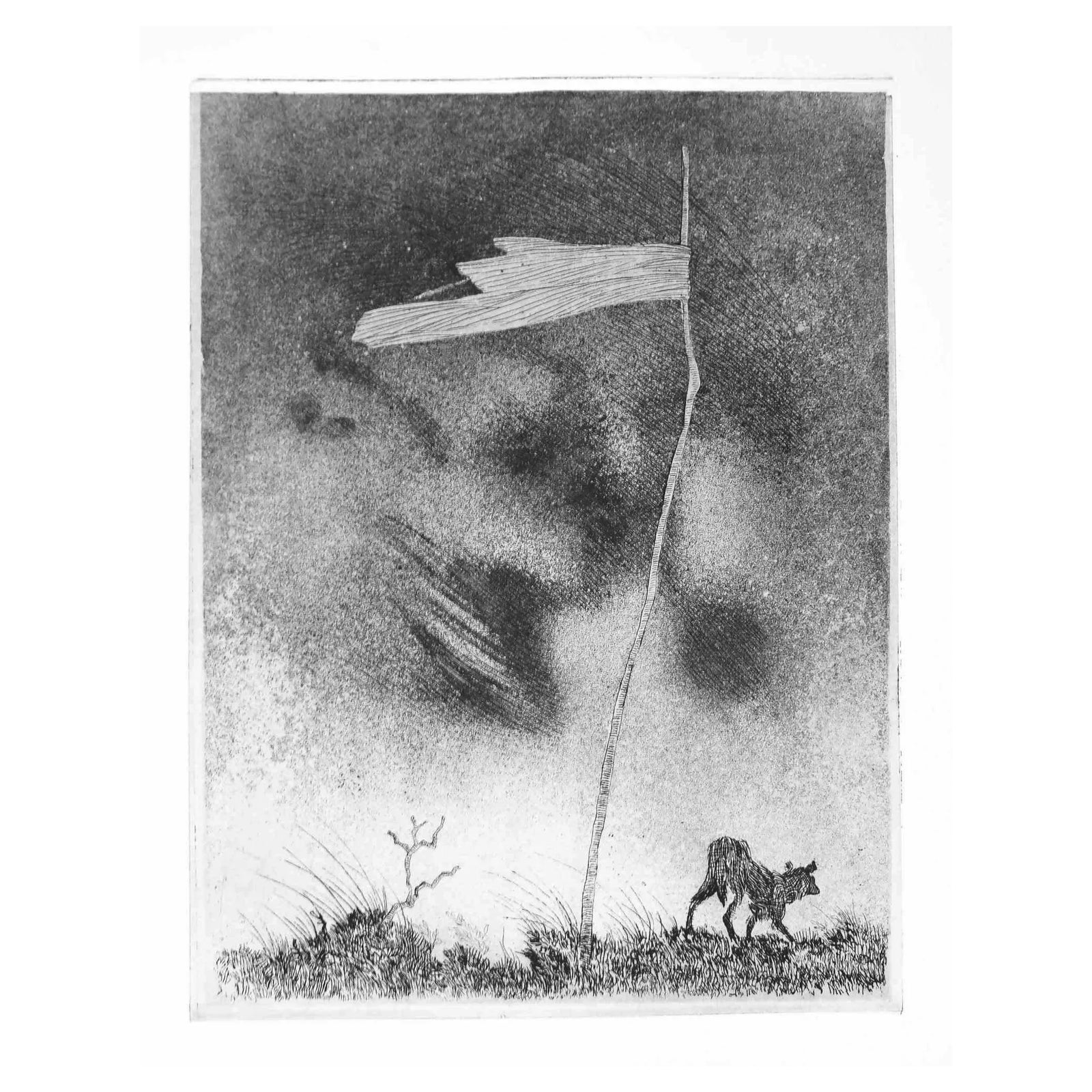Leo Guida, The Flag, Original Etching, 1970s | Chairish