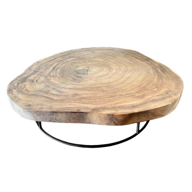 Organic Pod Wood Coffee Table | Chairish
