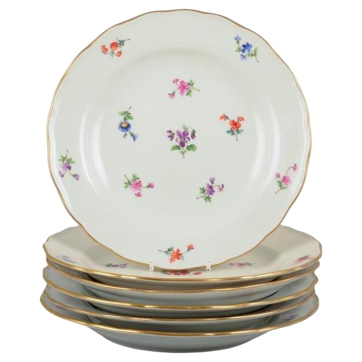 German Dinner Plates in Porcelain from Meissen, 1920s, Set of 6 | Chairish