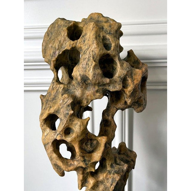 Chinese Scholar Rock Yellow Taihu Stone on Wood Stand | Chairish