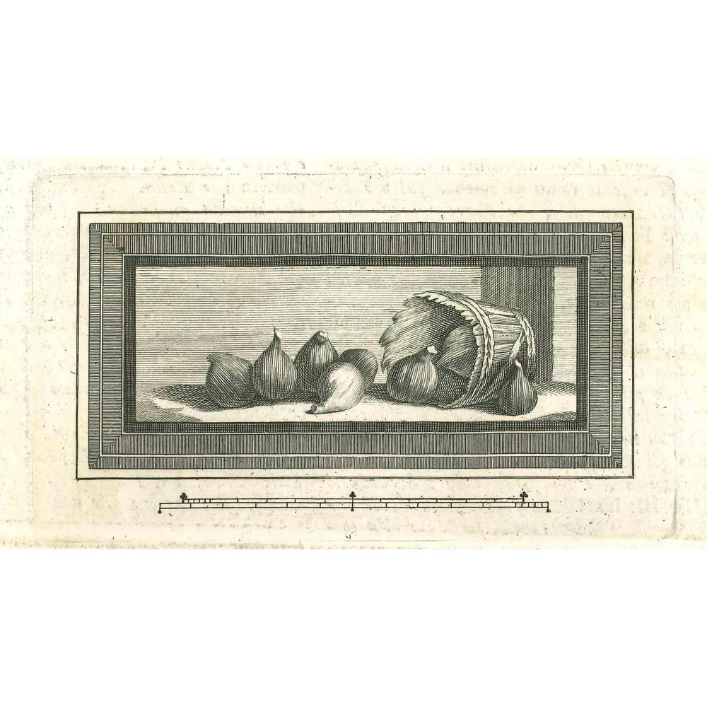 Vincenzo Aloja, Ancient Roman Still Life, Original Etching, 18th ...