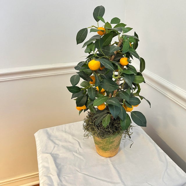 Faux Citrus Tree in Terra Cotta Pot | Chairish