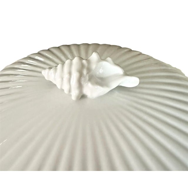 Vintage White Porcelain Conch & Clam Shell / Clamshell Nautical ...