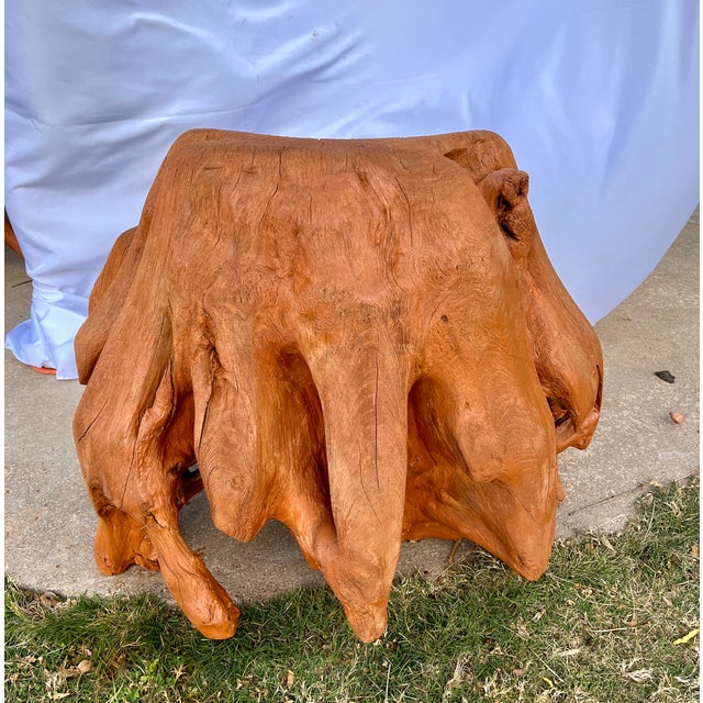 Rustic Teak Root Chair | Chairish