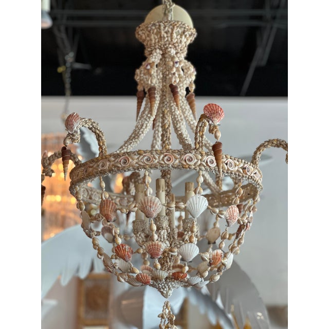 Vintage 6 Light Encrusted Seashell Shell Palm Beach Chandelier | Chairish