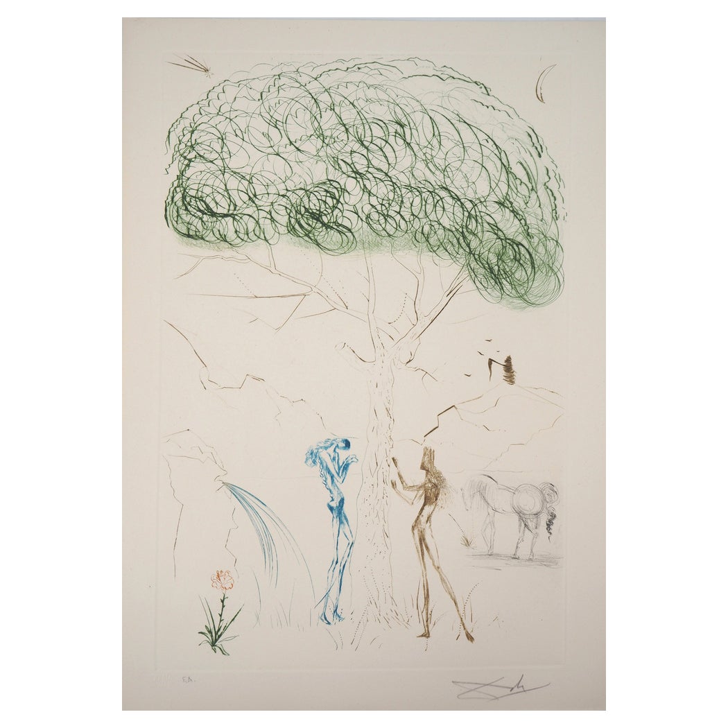 Salvador Dali, Under the Umbrella Pine, 1970, Original Etching | Chairish