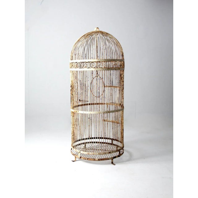 Antique XL Iron Bird Cage | Chairish