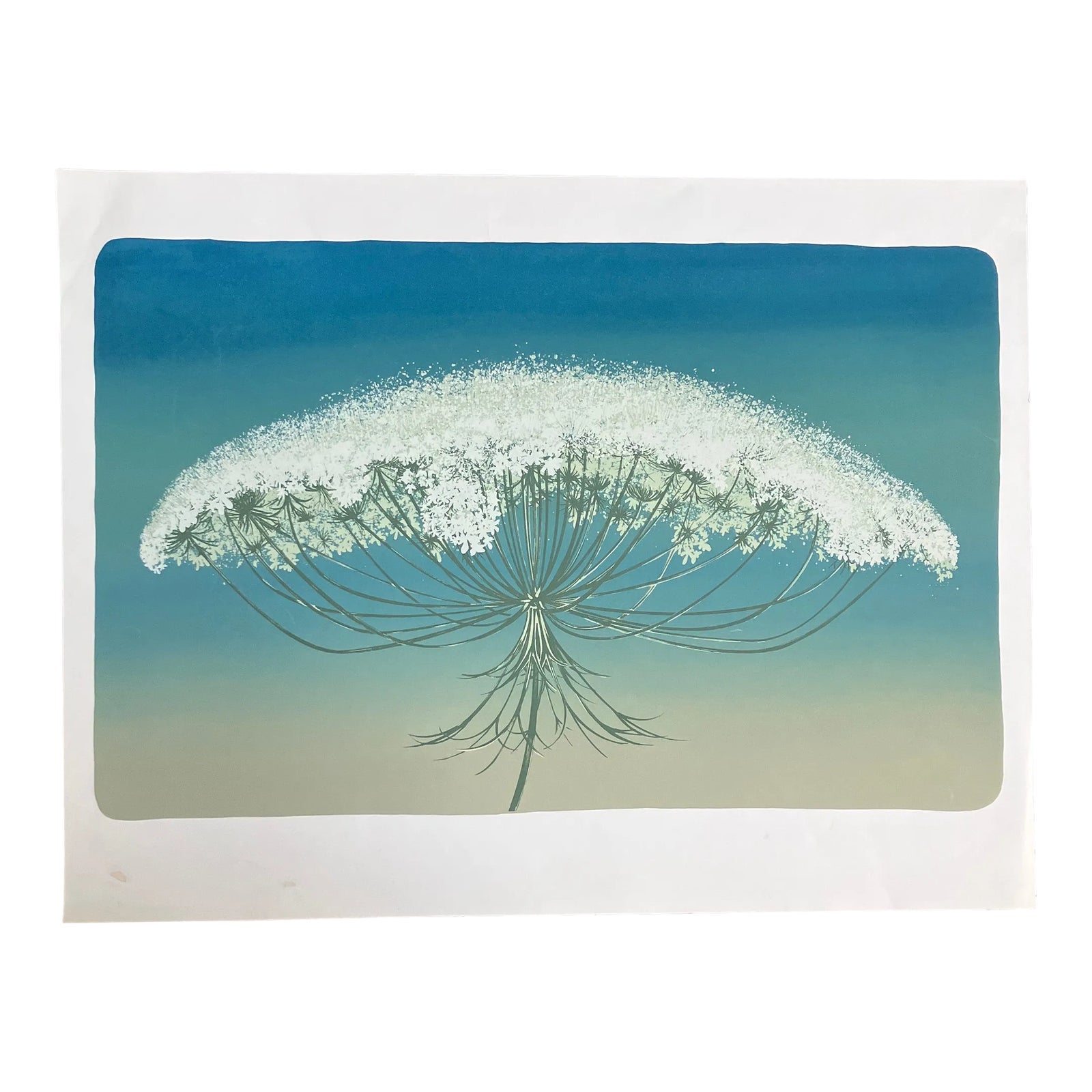 1980’s Original Contemporary Queen Anne’s Lace Lithograph | Chairish