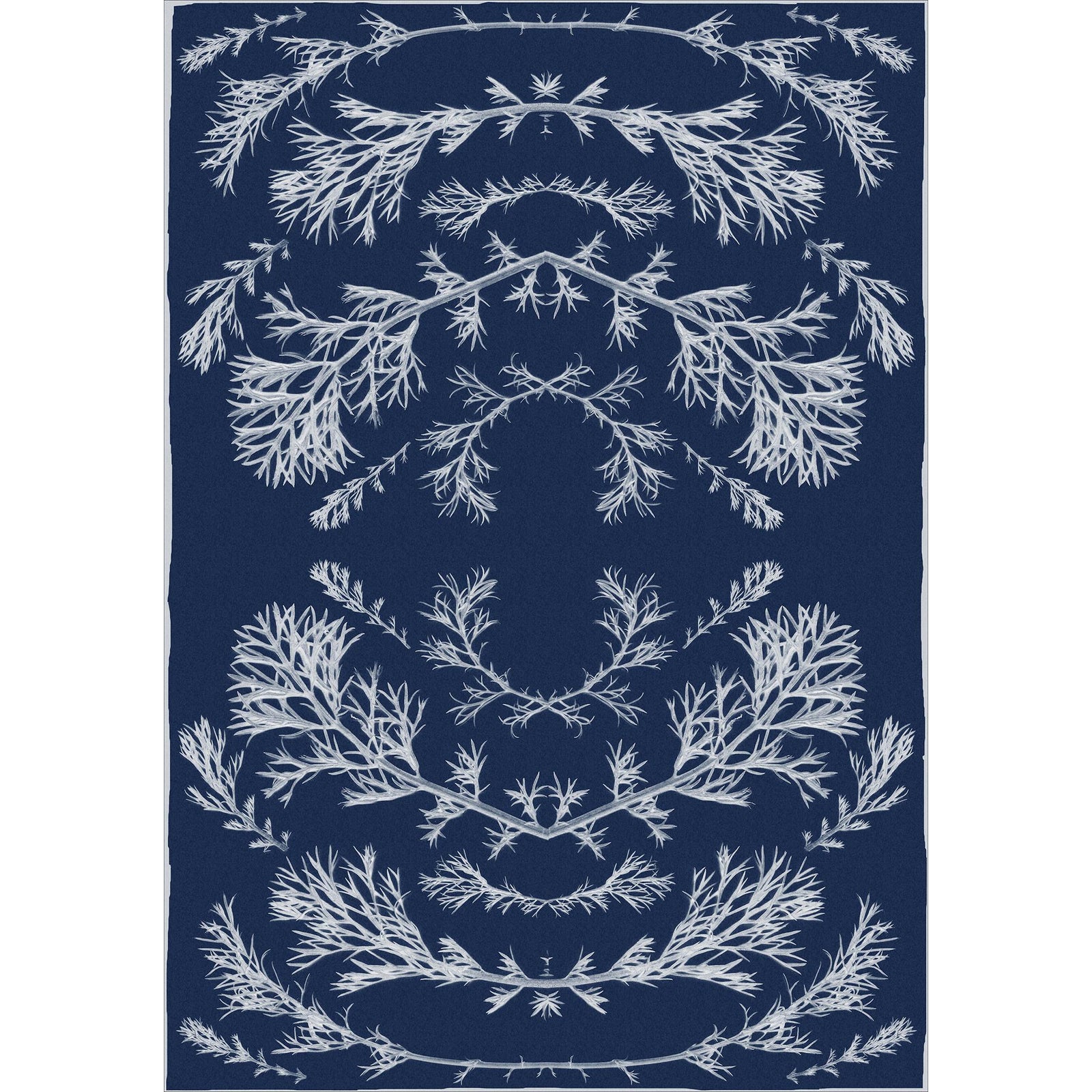 "Vintage Pressed Flowers Nº1", Botanical Cyanotype on Watercolor Paper ...